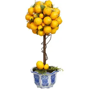 MARK ROBERTS Potted Lemon Topiary