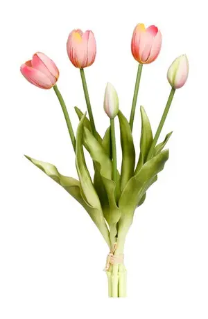 MARK ROBERTS Blooming Tulip Bunch Of 5 - Dark Pink