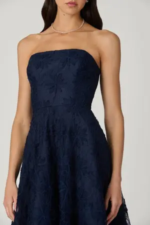 Shoshanna Embroidered Mesh Strapless Evening Dress
