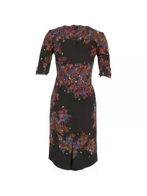 Erdem Printed Dress