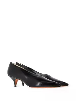 Celine V-neck Pointed Toe Pumps