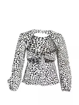Rixo Animal-print Long-sleeve Blouse