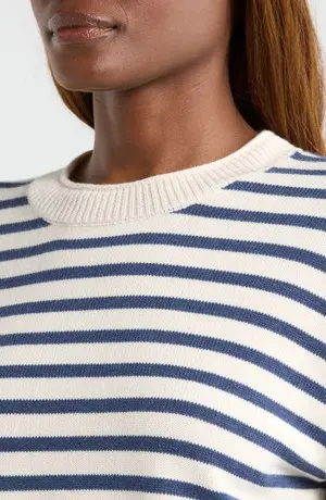 Marine Layer Striped Cotton Rollneck Sweater