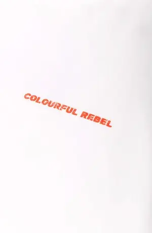 COLOURFUL REBEL Cr Flower Boxy Tee