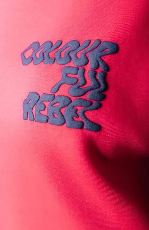 COLOURFUL REBEL Logo Wave Relaxed Sweat