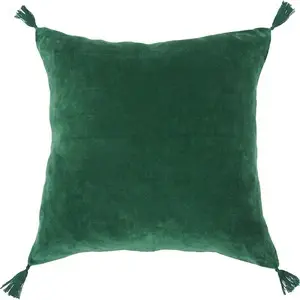 CAROL & FRANK River Decorative Throw Pillow Collection - Green
