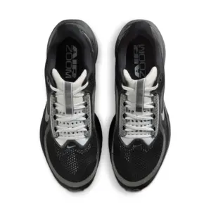 Nike Pegasus Premium Sp Shoes