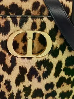Dior St Honoré Leopard-print Tote Bag
