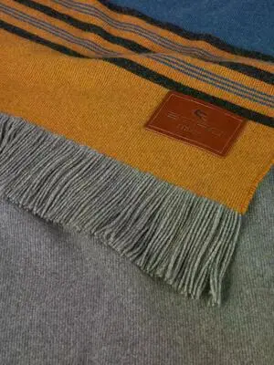 Etro Striped Throw Blanket
