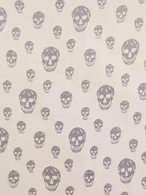 Alexander McQueen Skull-print Scarf
