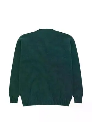 FORTELA Shetland Crewneck Wool Sweater - Green