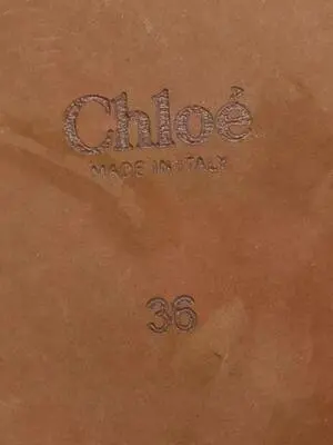 Chloé Fur And Leather Thong Sandals