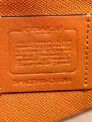 COACH Mollie Leather Tote Bag With Adjustable Handles - Orange