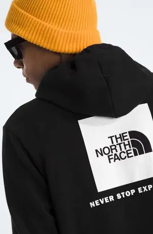 The North Face Evolution Box Nse Pullover Hoodie - Tnf Black