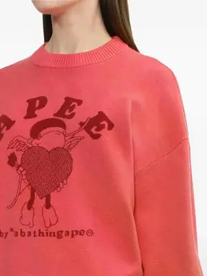 APEE™ BY *A BATHING APE® Graphic Knitted Sweater