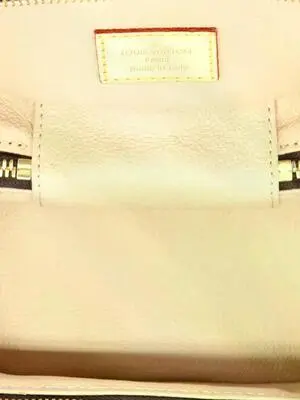 LOUIS VUITTON Vanity Case Monogram Canvas Nano Pouch