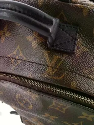 LOUIS VUITTON Palm Springs Monogram Canvas Mini Backpack