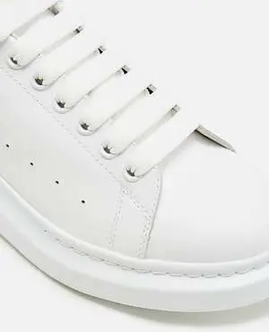 Alexander McQueen Larry Low Top Sneakers
