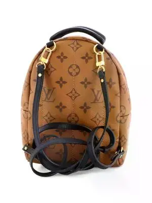 LOUIS VUITTON Palm Springs Mini Backpack - Brown