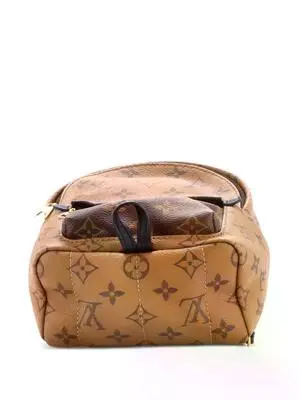 LOUIS VUITTON Palm Springs Mini Backpack - Brown