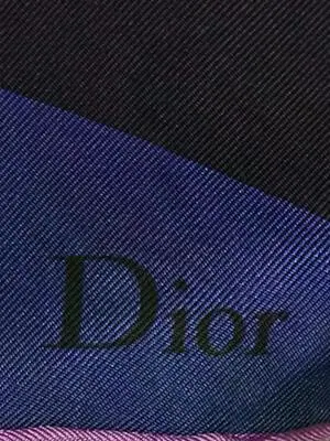 Dior Printed Scarf