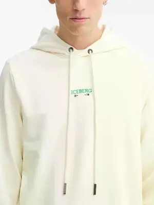 Iceberg Graphic Drawstring Hoodie