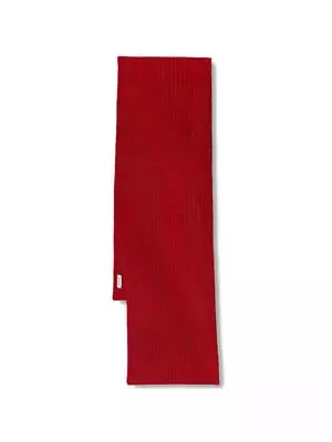 LANVIN Knitted Scarf - Red