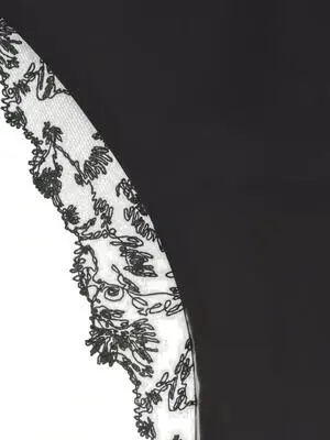 La Perla Lace-panel Briefs