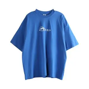 Vetements Alaska Tourist T-shirt
