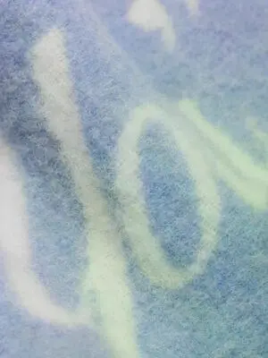 Acne Studios Fringed Logo Scarf - Blue