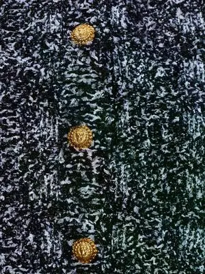 Balmain Buttoned Tweed Jacket