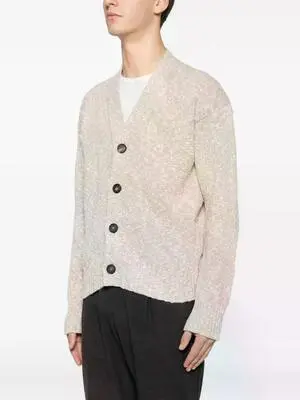 Tagliatore Buttoned V-neck Cardigan