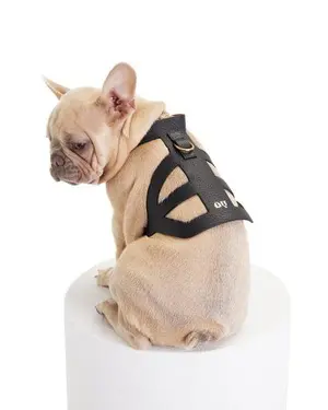 MOSHIQA Pierre Leather Dog Harness