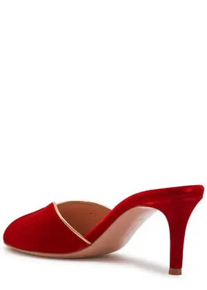 GIANVITO ROSSI Metallic-trim Velvet Mules