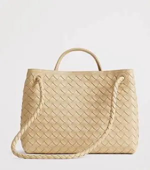 Bottega Veneta Medium Andiamo Shoulder Bag