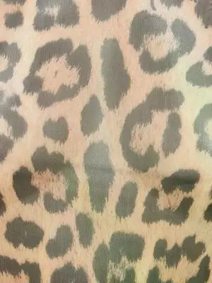 Philipp Plein Leopard-print Set
