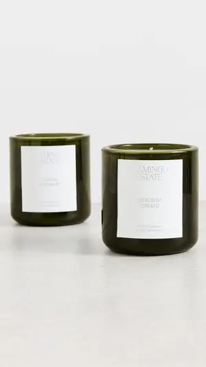 FLAMINGO ESTATE Climbing Tuscan Rosemary Candle - Green