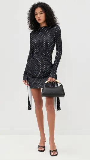 Lioness Polka-dot Mini Dress With Rosette