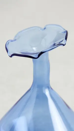 TIZO DESIGN Curved Neck Glass Vase