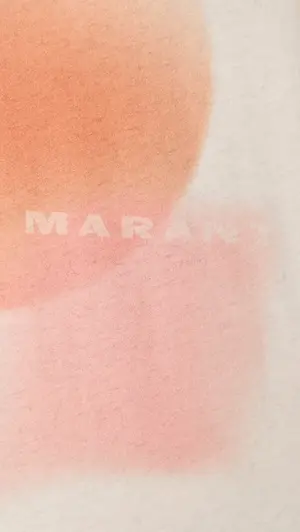 Isabel Marant Gradient Logo Tee - Ecru