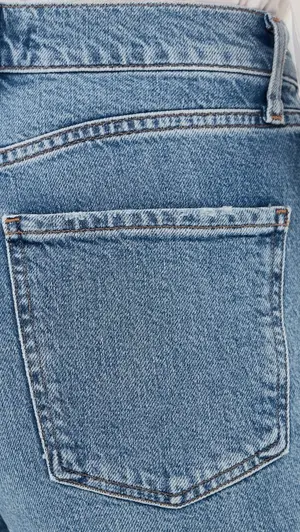 AGOLDE High Rise Wide Leg Ren Jeans