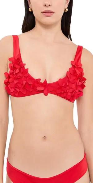ANCORA Aula Bikini Top - Red