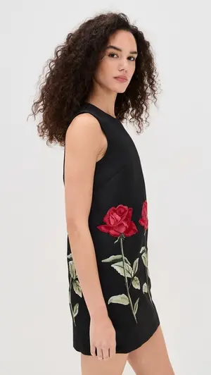 LEO LIN Yvonne Embroidered Mini Dress