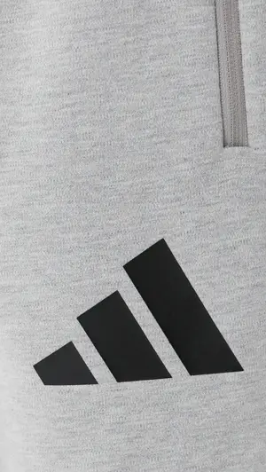 Adidas Z. N.e. Pants