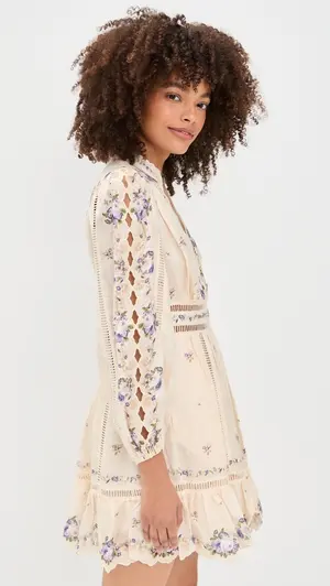Zimmermann Patience Plunge Mini Dress