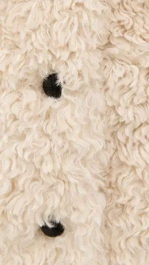 Isabel Marant Tarvey Jacket