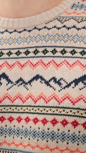 Marine Layer Fair Isle Crewneck Sweater