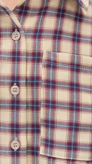 Lioness Plaid Button-down Shirt