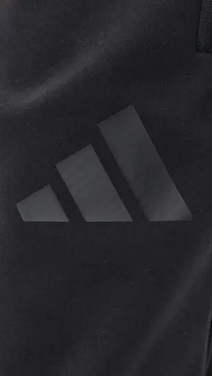 Adidas Z. N.e. Pants