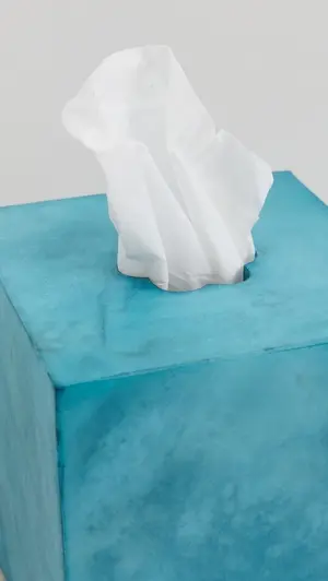 KASSATEX X Tissue Holder